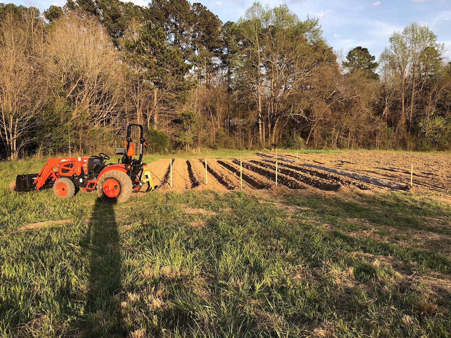 Wildlife Food Plots & Vegetable Gardens | Foxfire Land Management ...